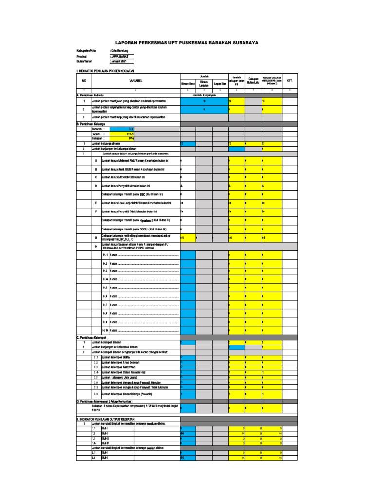 Laporan Perkesmas | PDF