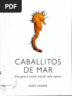 Características y reproducción del caballito de mar | PDF