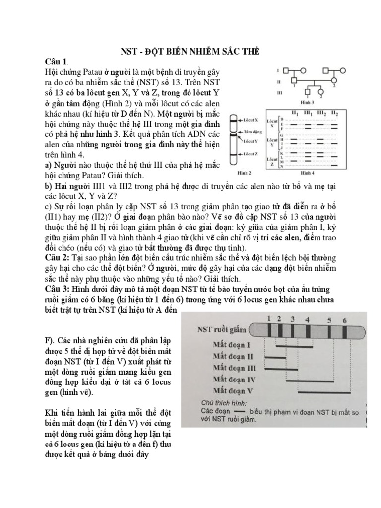 Ch Nst - Đột Biến Nhiễm Sắc Thể | PDF