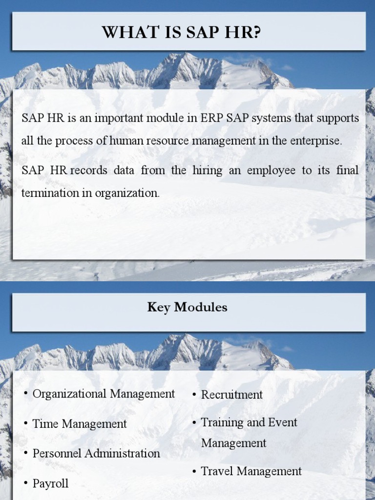 What Is Sap HR? | PDF | Human Resource Management | Human Resources