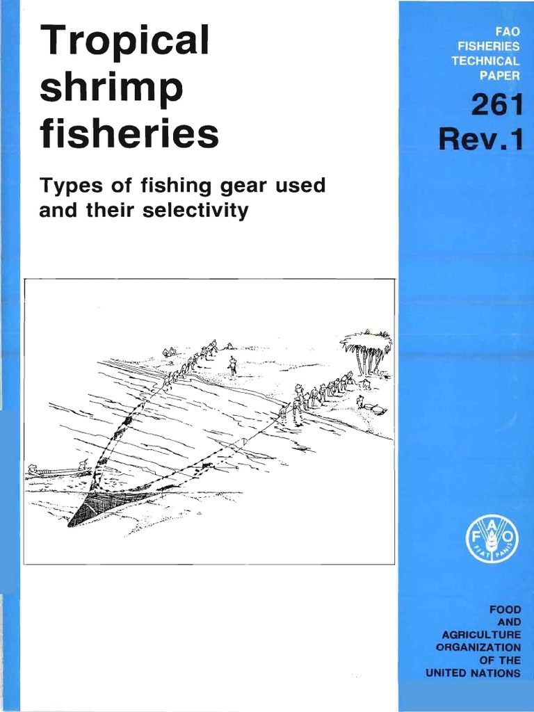 Tropical Shrimp Fisheries: Types of Fishing Gear Used and Their ...