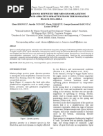 Pangaea Puzzle Pieces | PDF