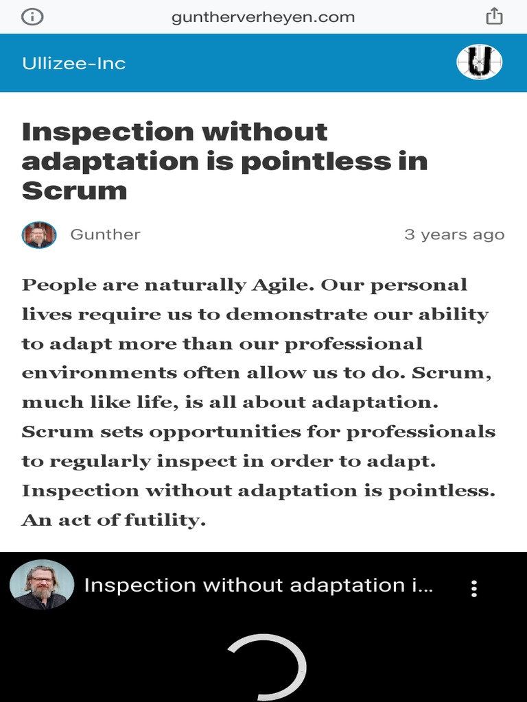 Inspection Without Adaptation Is Pointless in SCR | PDF