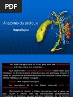 Anatomie2an-Systeme Porte | PDF | Foie | Pancréas