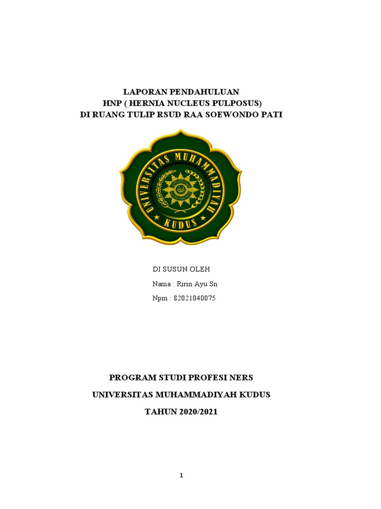 LP HNP | PDF