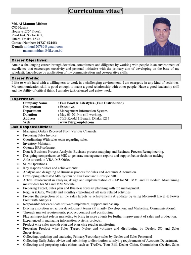 Mithun CV | PDF | Sales | Microsoft Excel