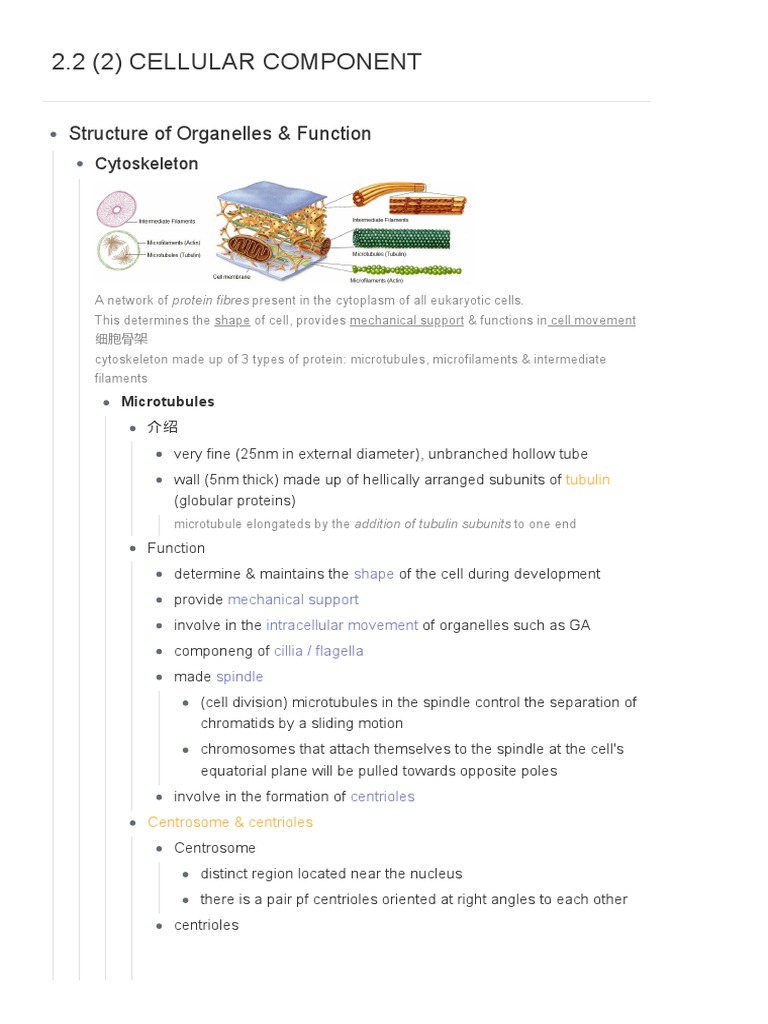 Cellular Components and Functions | PDF | Cell (Biology) | Microtubule
