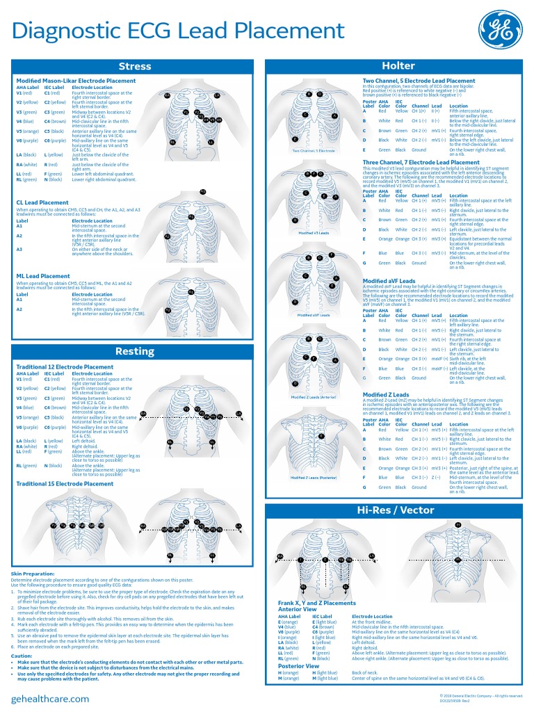 Diagnostic ECG Lead Placv2 | PDF | Visual Cortex | Thorax
