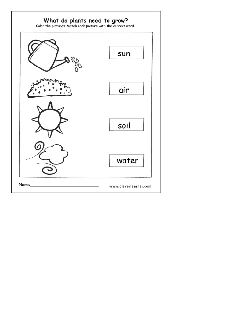 what-plants-need-to-grow-worksheets-for-preschools-pdf