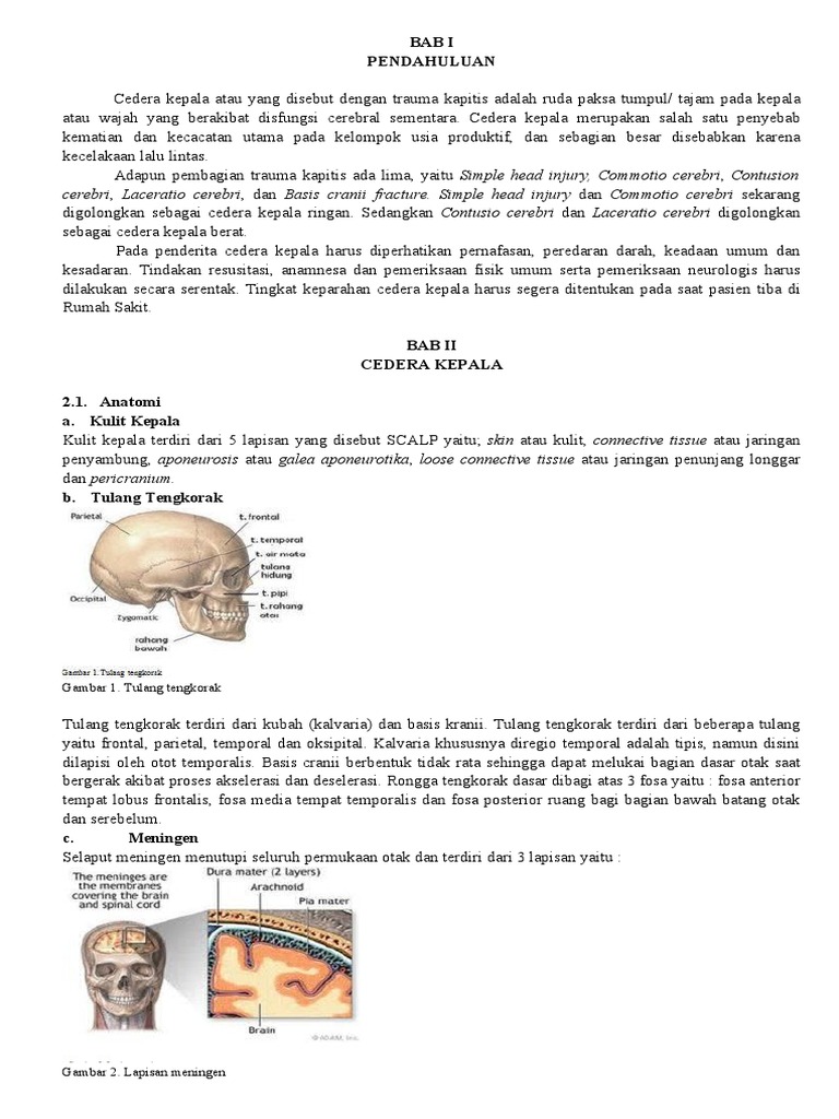 DR Herry Setya Yudha Utama SPB | PDF | Sains & Matematika
