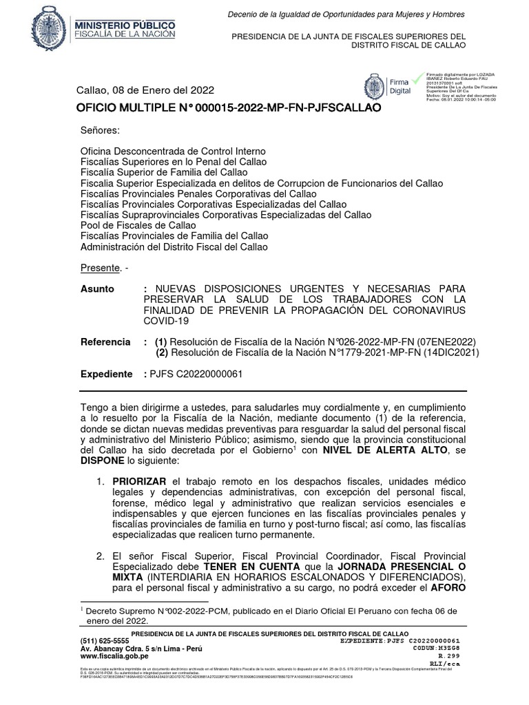 OFICIO MÚLTIPLE No 0015-2022MP-FN-PJFSCALLAO | PDF | Fiscal