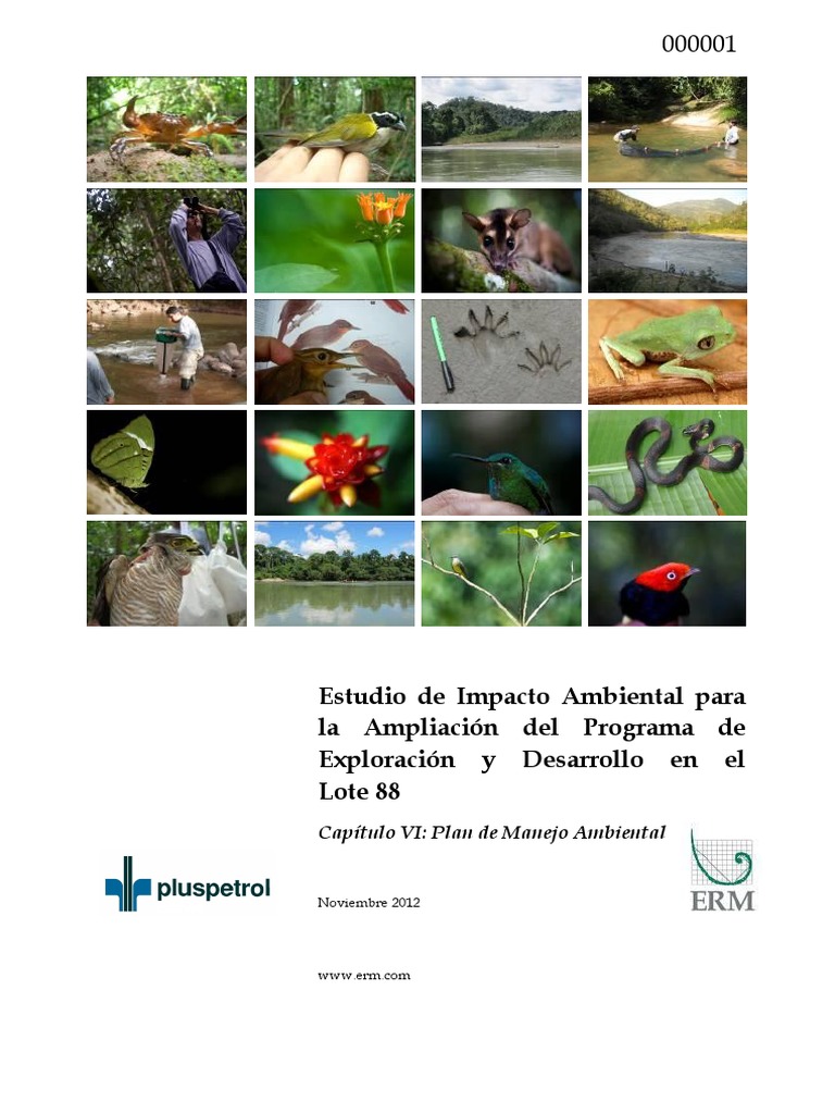 Cap 6 Plan de Manejo Ambiental | PDF | Entorno natural | Cuestiones ambientales