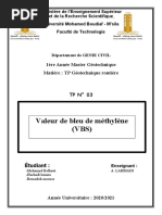 Essai Au Bleu de Méthylène (NF EN 933-9) | PDF | Adsorption | Masse