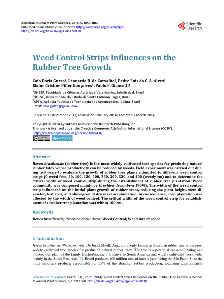 Weed Control Strips Influences On The Rubber Tree Growth | PDF | Weed ...