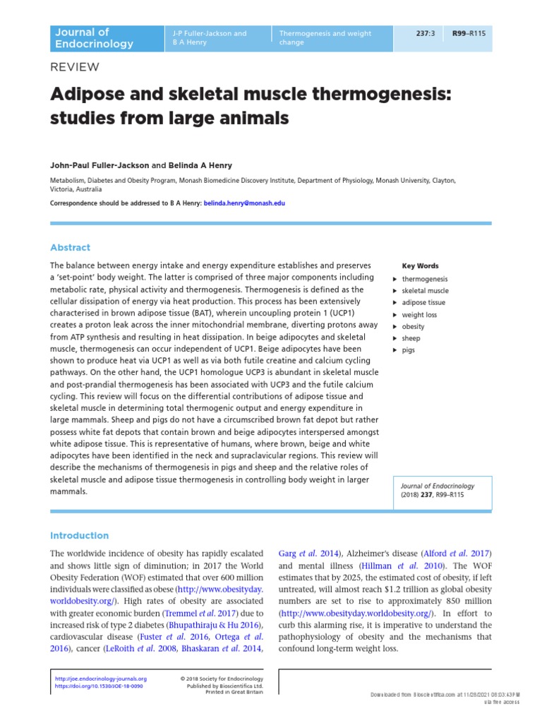Adipose and Skeletal Muscle Thermogenesis: Studies From Large Animals ...