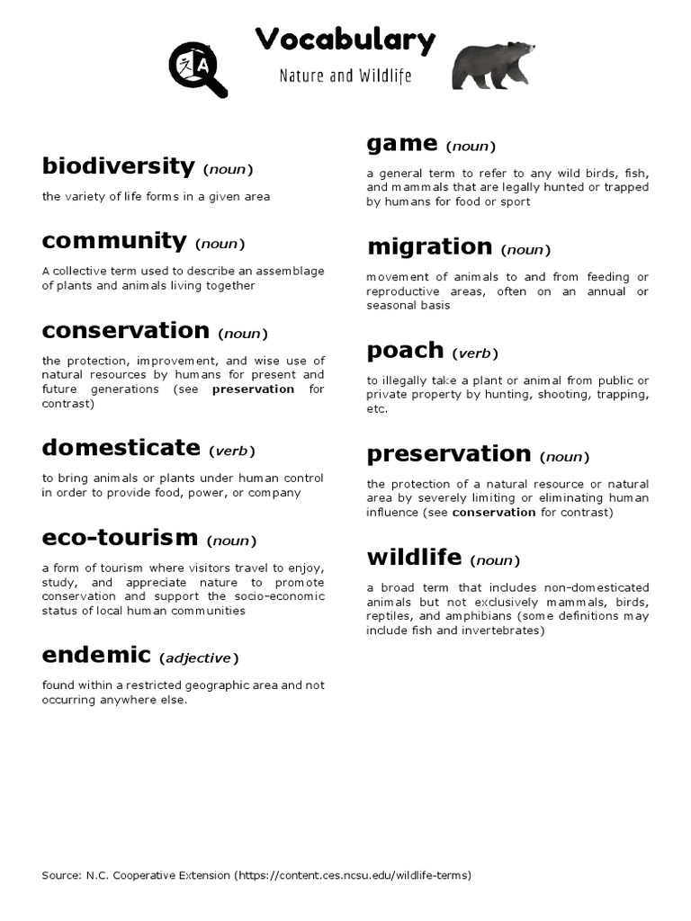 Nature and Wildlife Vocabulary | PDF | Social Science | Science ...