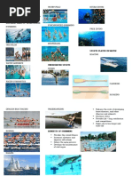 Red Cross Swim Levels | PDF | Individual Sports | Athletic Sports