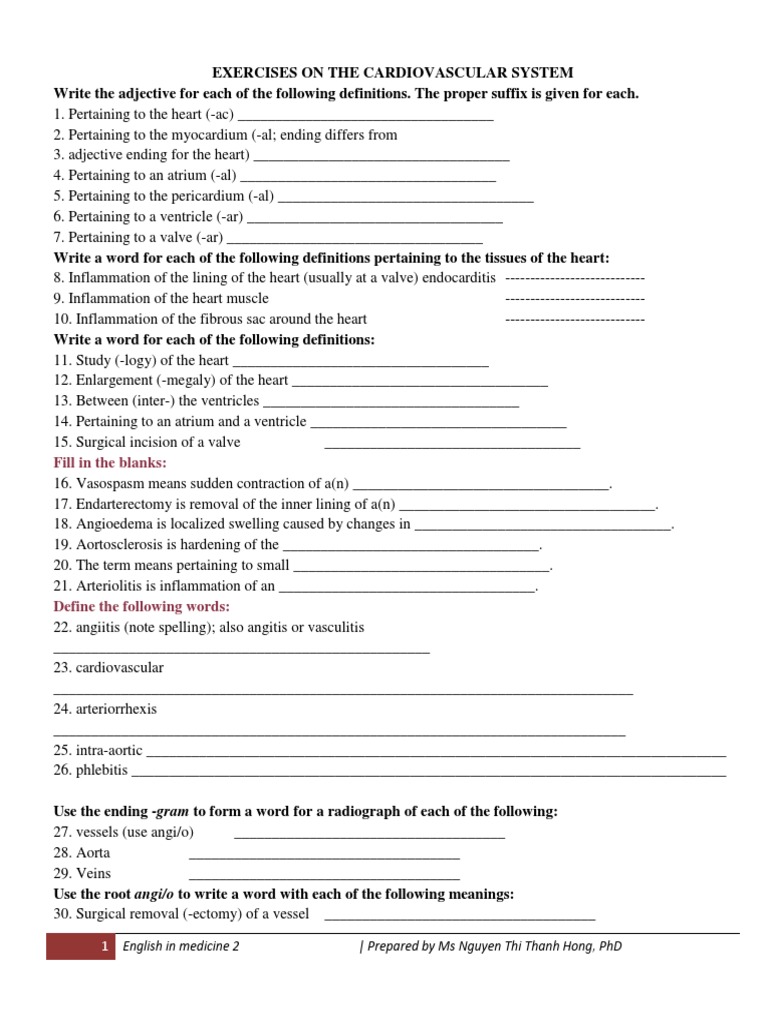Exercises On The Cardiovascular System | PDF | Heart | Heart Valve