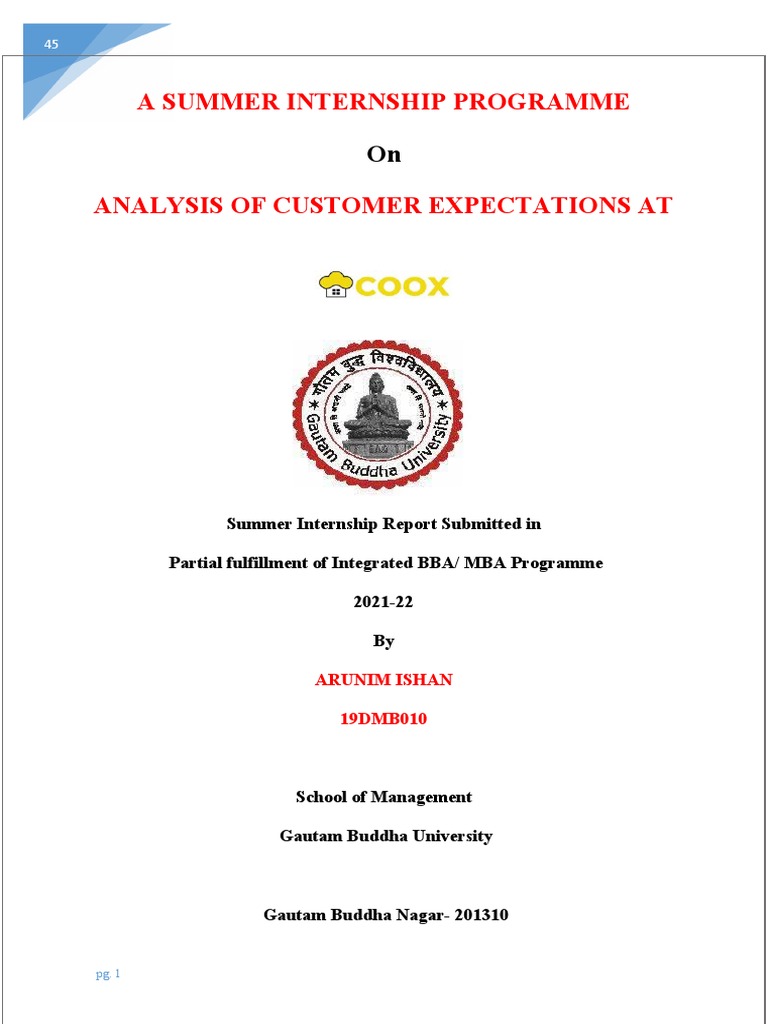 A Summer Internship Programme | PDF | Marketing | Marketing Research