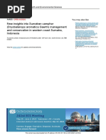 RRL Making Paper From Saba Banana Peel | PDF | Banana | Materials