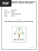 EMMANUEL KALENGA MULENGA - Geography Field Project Report, MINING ...