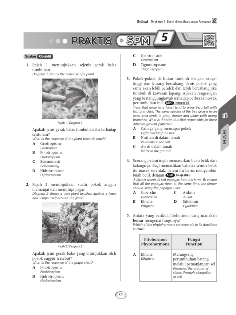 Praktis Biologi Bab 5 T5? | PDF
