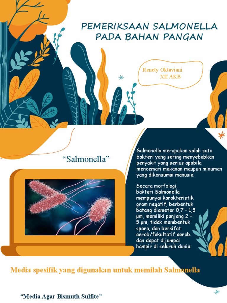 Pemeriksaan Salmonella | PDF