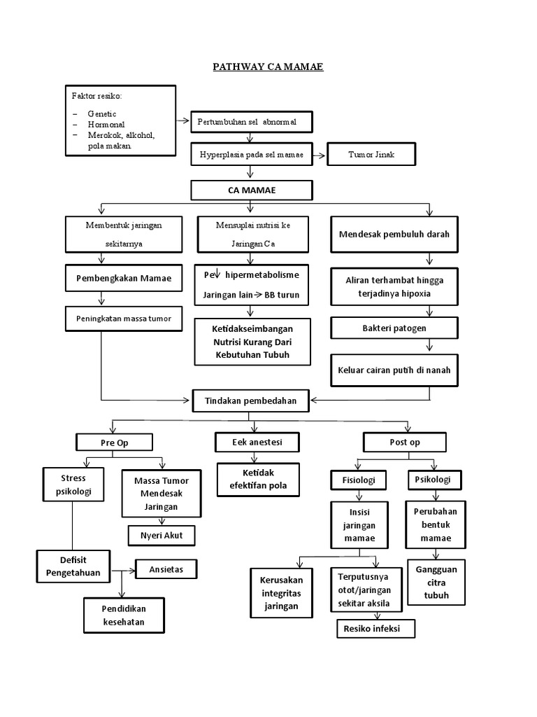 PATHWAY CA MAMAE Finis | PDF