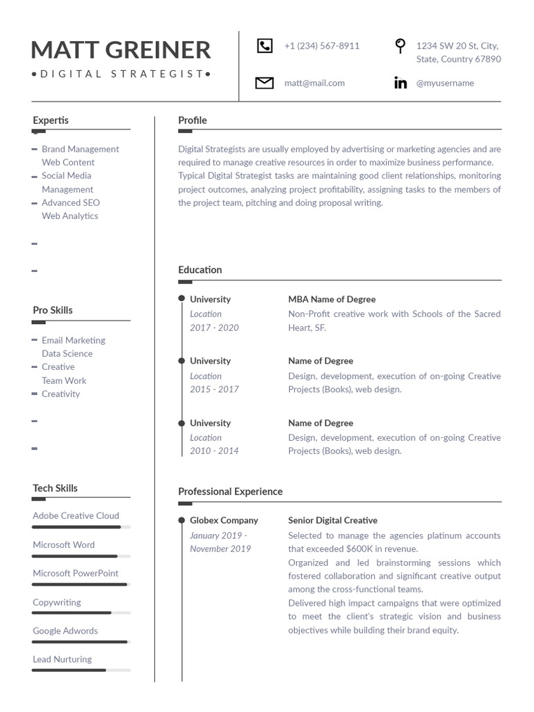 01 Matt - Resume Template | PDF | Search Engine Optimization | Analytics