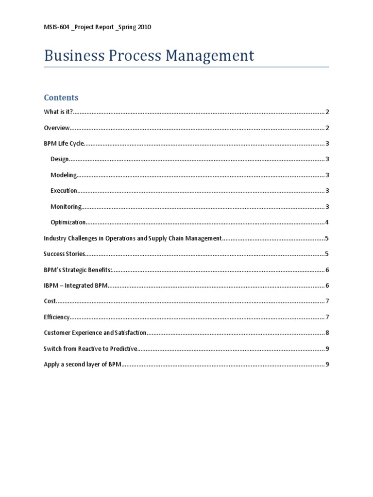 BPM Project Report | PDF | Business Process Management | Information ...