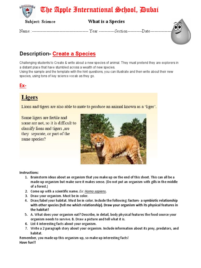Create Your Own Species Worksheet | PDF