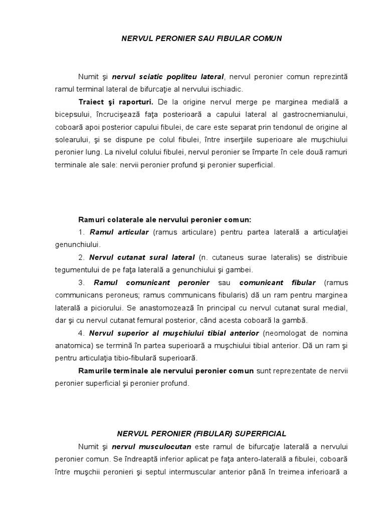 Nerv Peronier Fibular Comun | PDF
