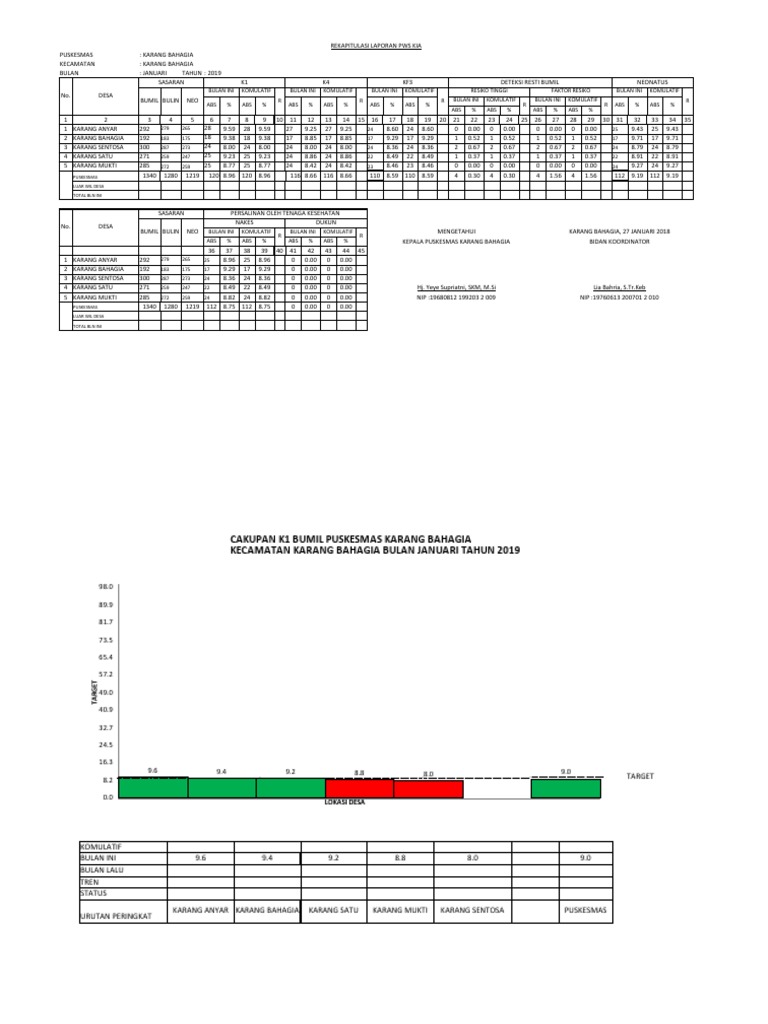 PWS + Grafik PKM 2019 | PDF