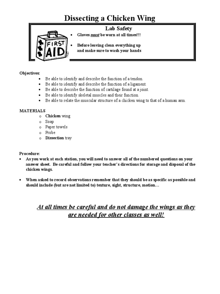 Chicken Wing Dissection Lab Guide | PDF | Muscle | Skeleton
