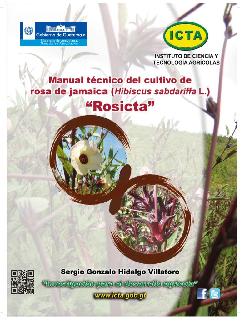 Manual Tecnico Del Cultivo de Rosa de Jamaica ROSICTA, 2013 | PDF ... Manual Tecnico Del Cultivo de Rosa de Jamaica ROSICTA, 2013 | PDF ...