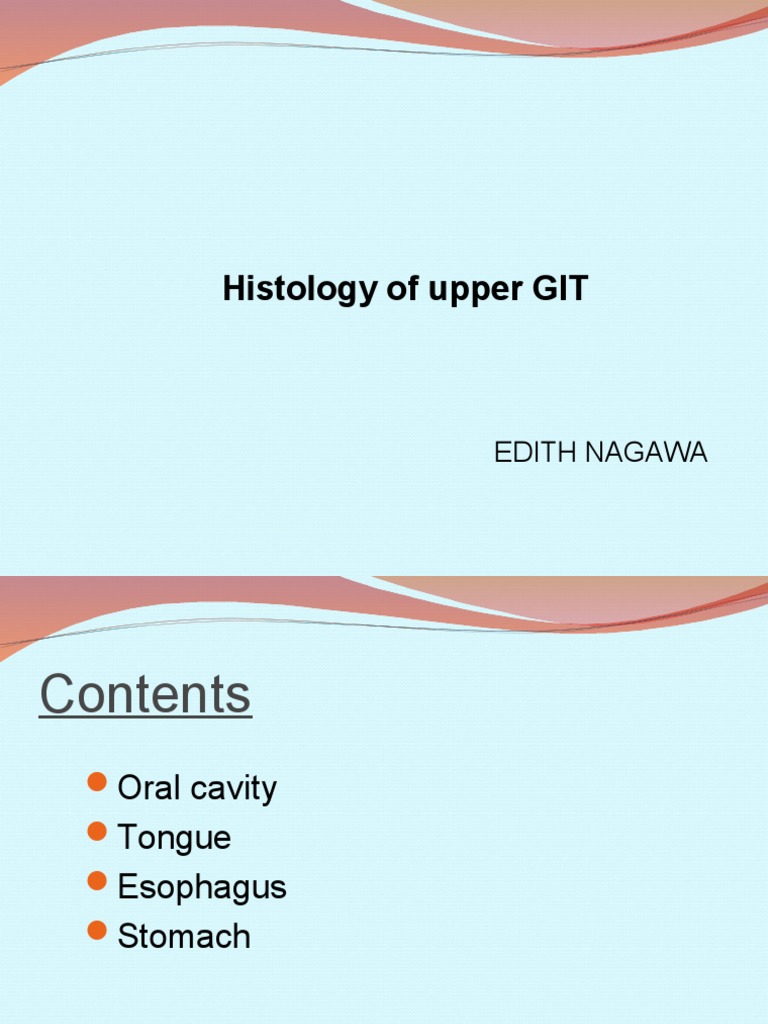 Histology of The Upper GIT | PDF | Stomach | Esophagus