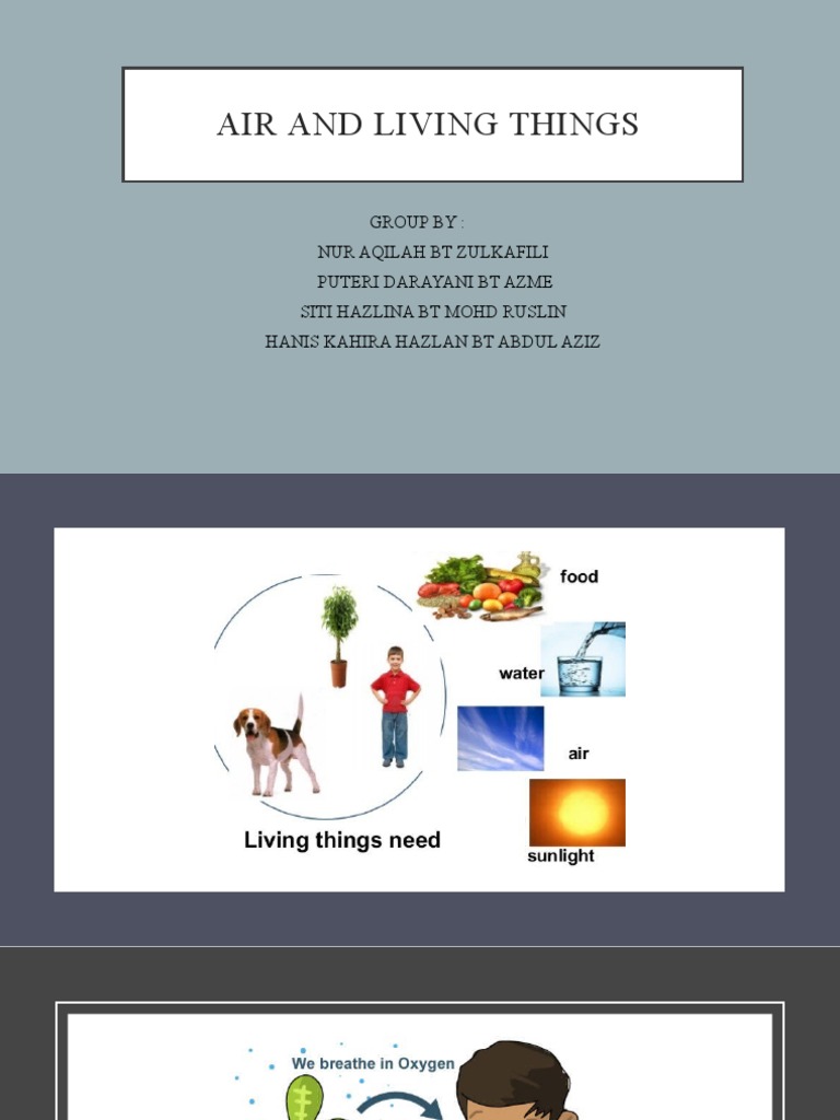 Importance of Air for Living Things | PDF