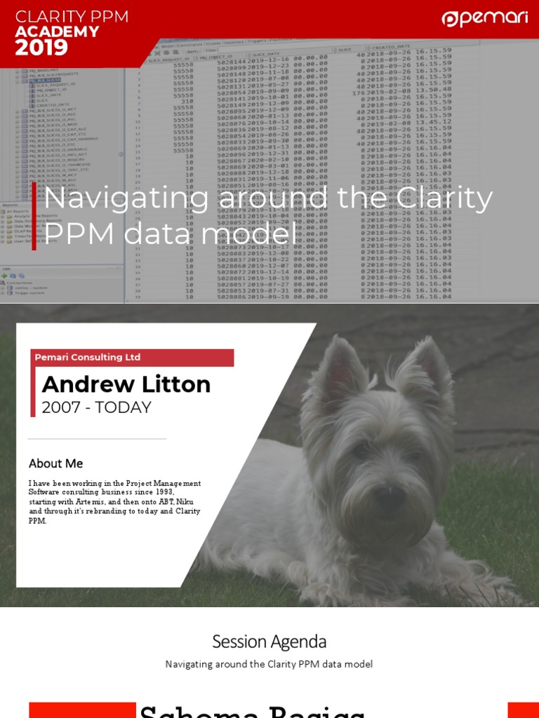 Clarity PPM Data Model Navigation Guide | PDF | Databases | Table ...