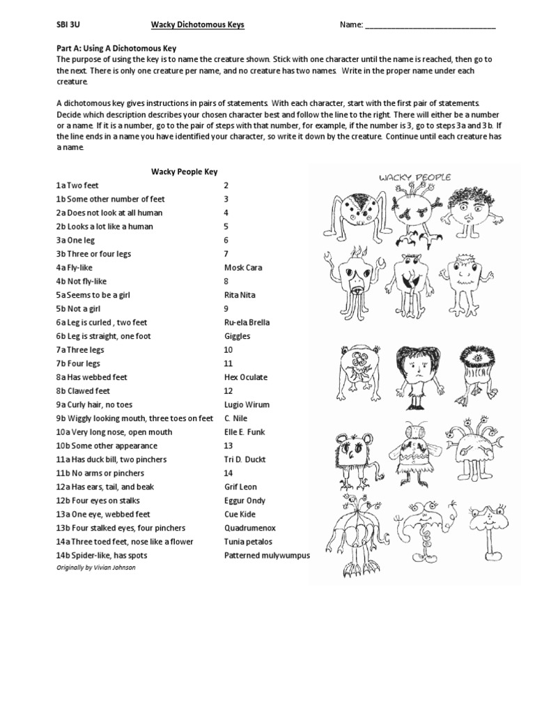 2 Wacky People Dichotomous Key Activity | PDF