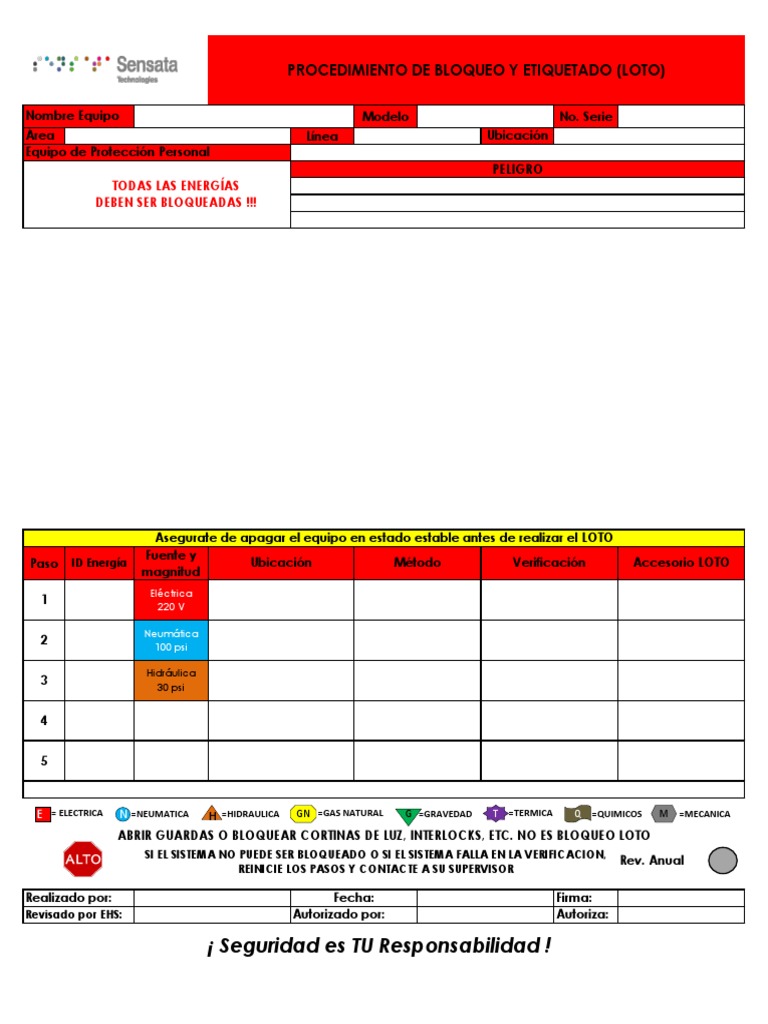 Formato LOTO | PDF