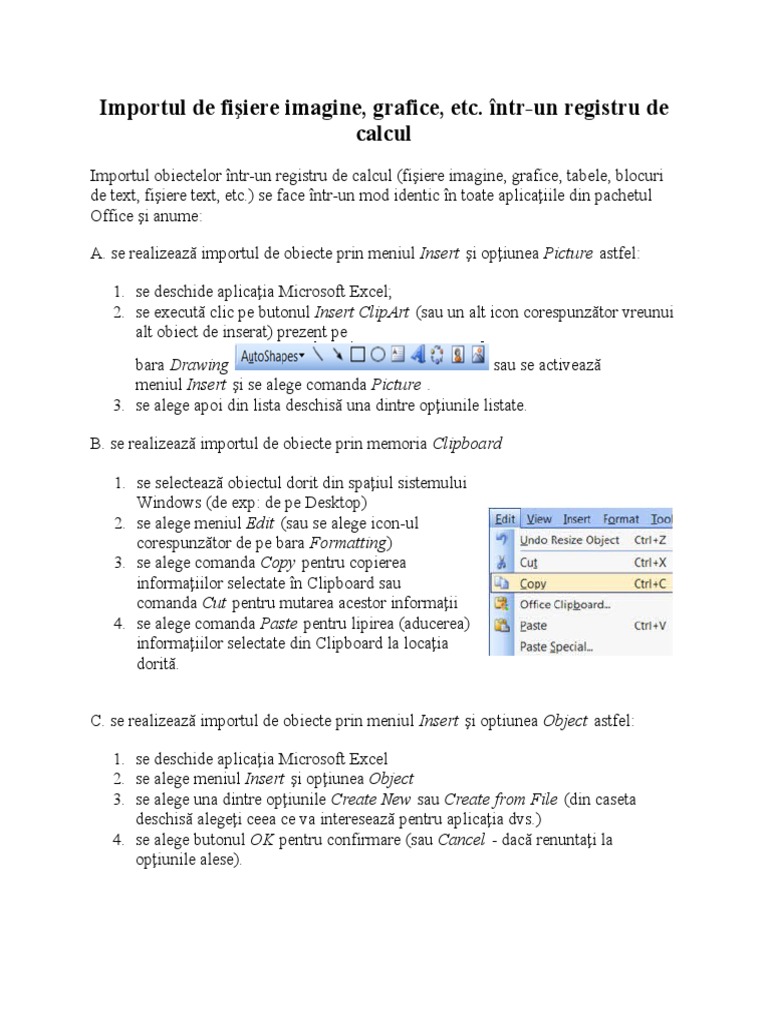 Importul de Fisiere Imagine Grafice in Ms Excel | PDF