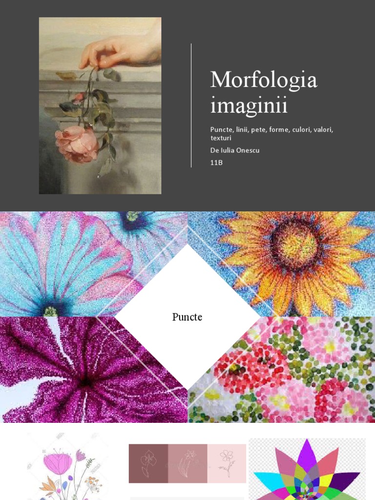 Morfologia Imaginii: Puncte, Linii, Pete, Forme, Culori, Valori ...