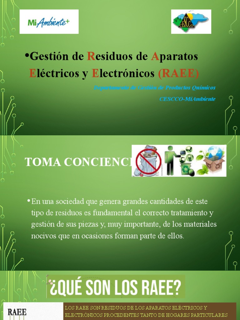 Presentacion Raee Niños | PDF