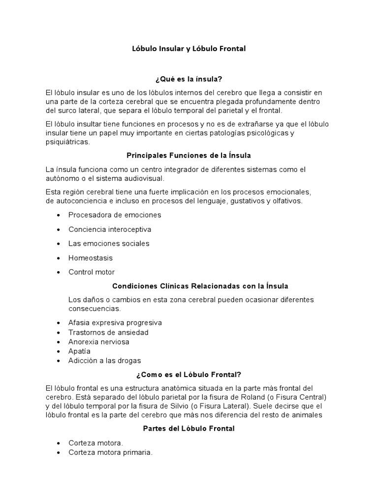 Apuntes Lóbulo Insular-Frontal | PDF