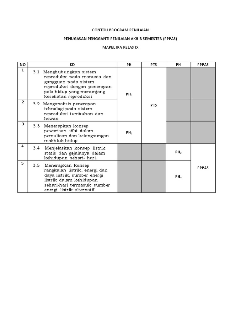 Contoh Program Penilaian | PDF