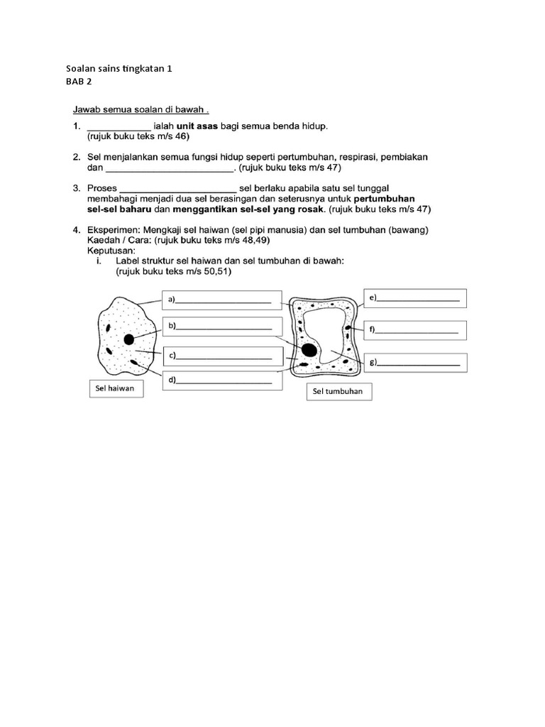 Soalan Sains Tingkatan 1 Bab 2 Pdf