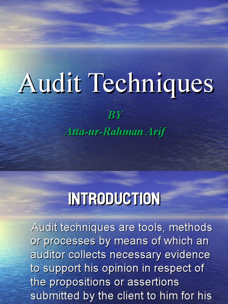 Audit Techniques | PDF | Audit | Business