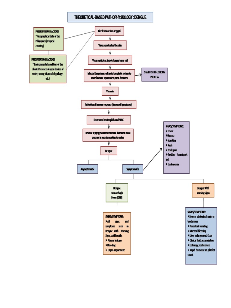 Theoretical-Based Pathophysiology of Dengue | PDF