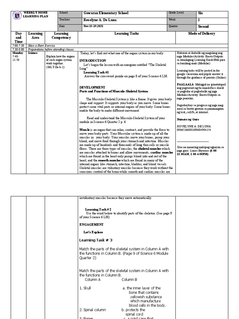 WHLP in Science 6 Q2 Week 1 | PDF | Muscle | Skeleton