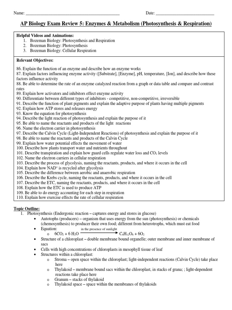 AP Biology Exam Review 5: Enzymes & Metabolism (Photosynthesis ...